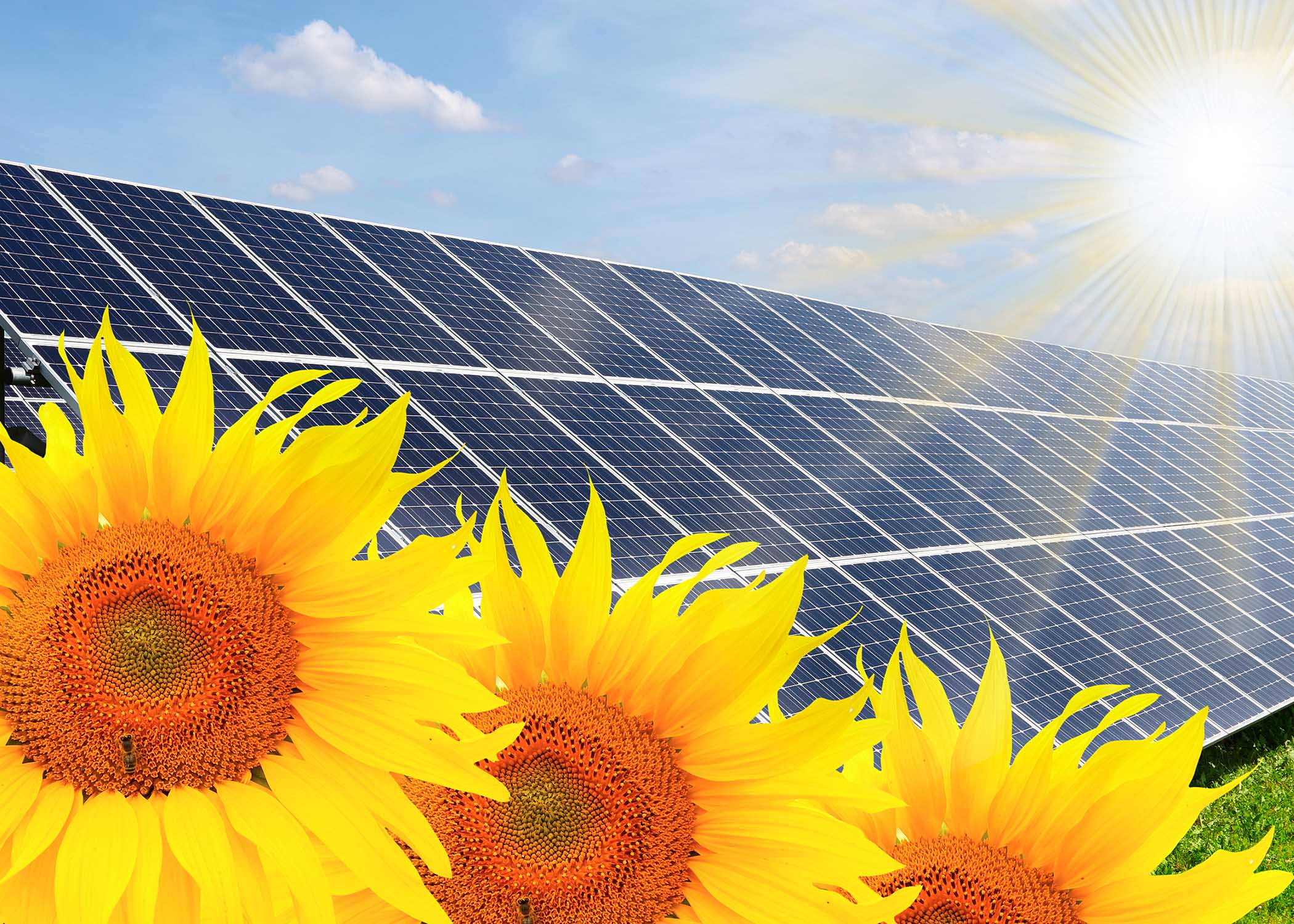 How Do You Create An Off Grid Farm Unbound Solar 