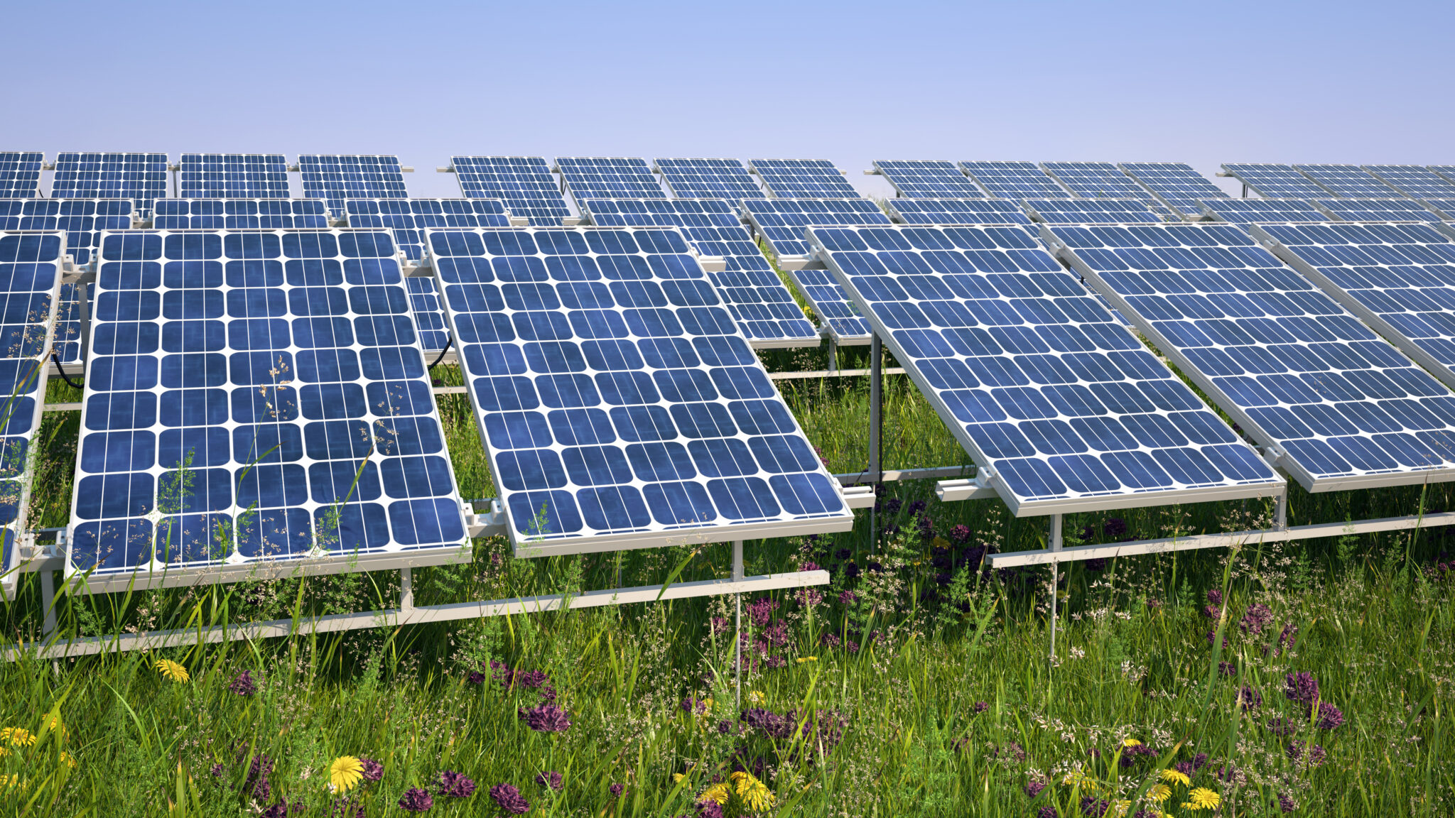 Solar Modules and Their Effects on Soil | Unbound Solar®