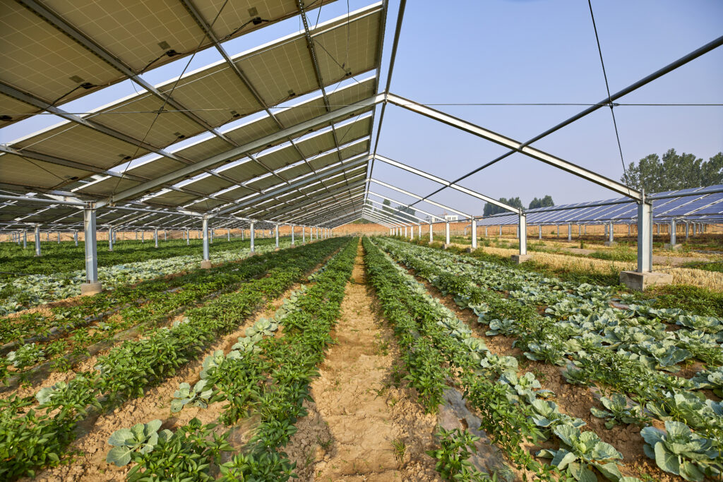 Using Your Land for Solar Farm Income | Unbound Solar®